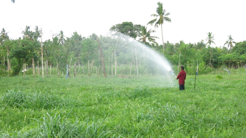 Agriculture Ministry launches five-year plan to introduce sustainable ...