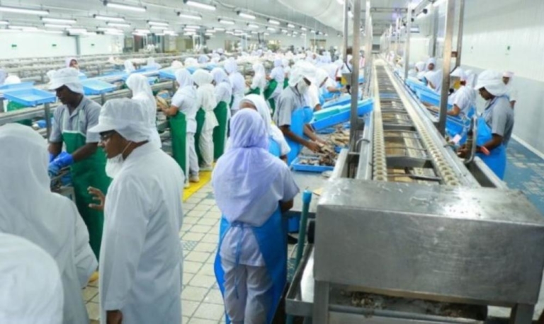 MIFCO limits tuna purchase in the South to 7 tonnes – The Times of Addu