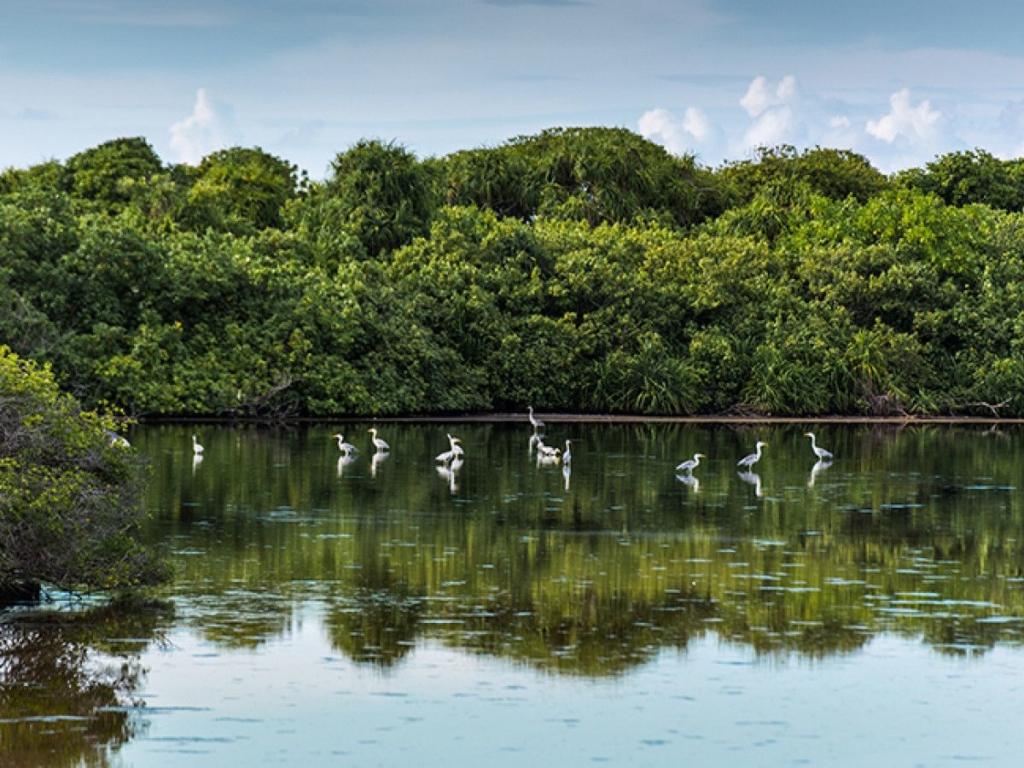 Maldives Environment Ministry raises awareness on sustainable tourism ...